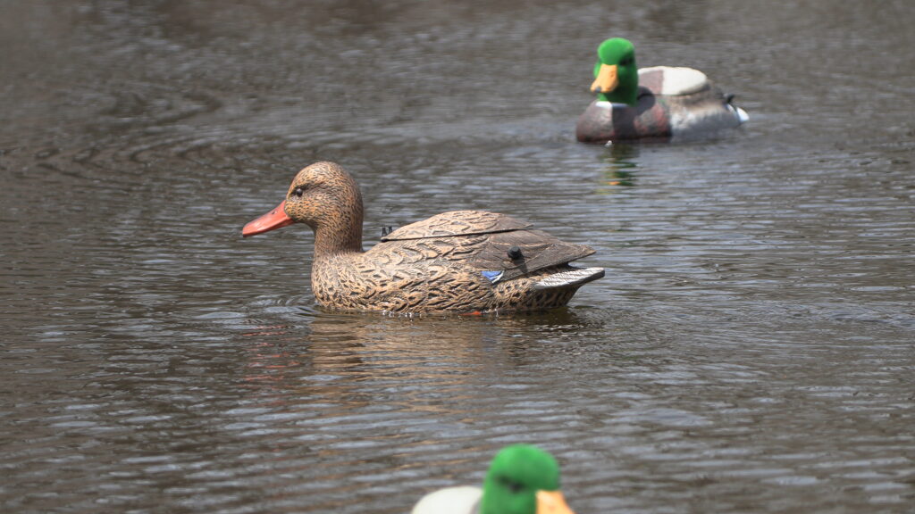 X-PACK PRO - THE REAL DeCOY