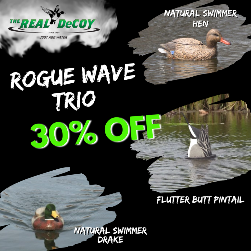 Rogue Wave Trio - 30% OFF - THE REAL DeCOY