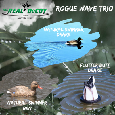 Rogue Wave Trio - THE REAL DeCOY