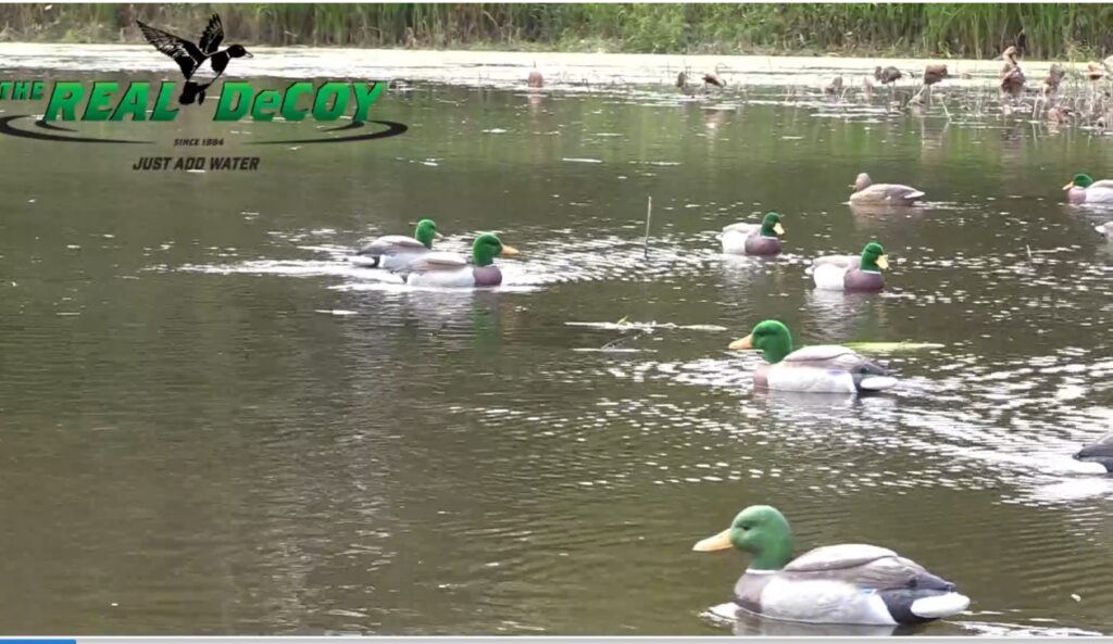 X-PACK LITE - THE REAL DeCOY