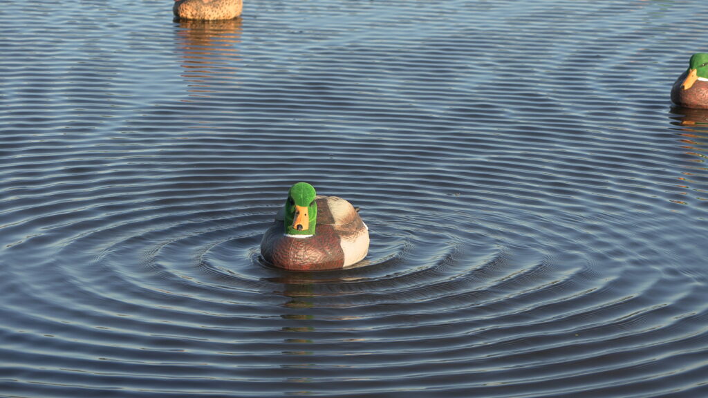 Flutter Combo Hen Flutter Extreme And Flutter Butt The Real Decoy